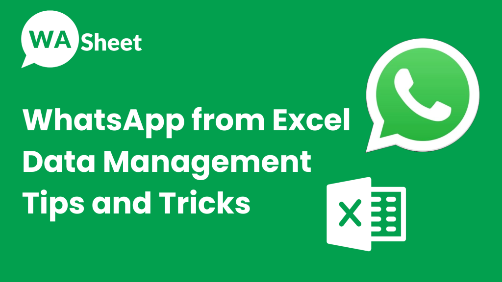 How to Integrate WhatsApp with Excel for Boosting Business